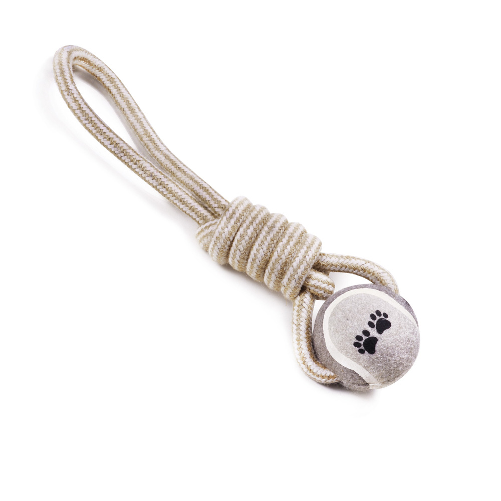 Sklep groomerski, akcesoria i narzędzia dla fryzjerów zwierząt ...